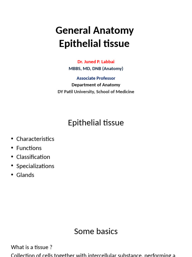 02 - General Anatomy of Epithelial Tissue (Anatomy) | PDF | Epithelium ...