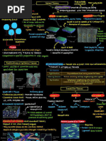 Complete Embryology NOTES | PDF