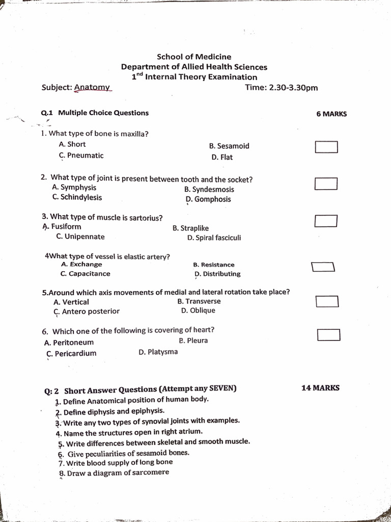 Anatomy Previous Years Paper-1 | PDF