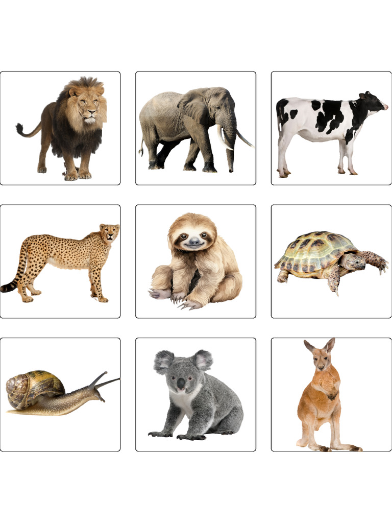 Memory Game Animals | PDF