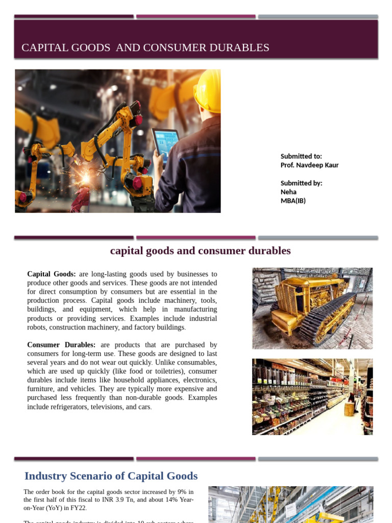 Capital Goods vs. Consumer Durables | PDF | Exports | Infrastructure