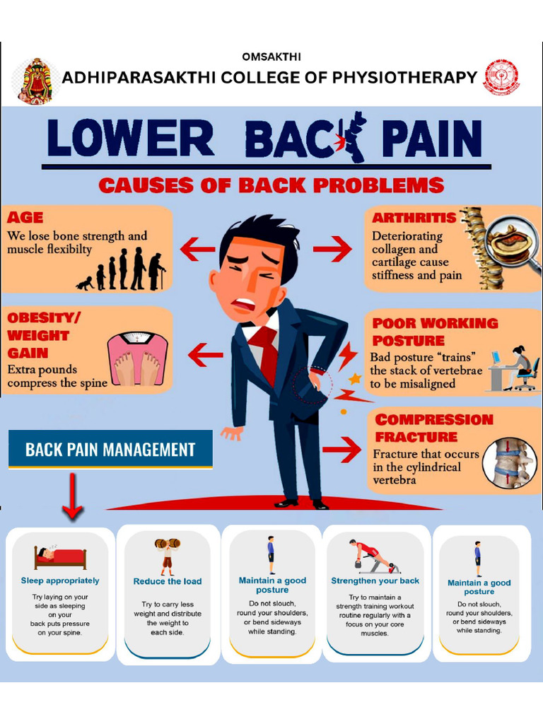 Low Back Pain | PDF