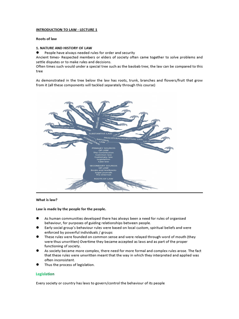 Introduction To Law-Lec 1 | PDF | Natural Law | Constitution