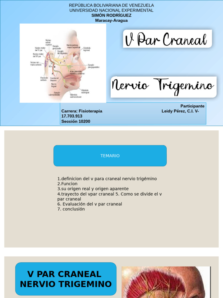 Leid Ys Nerv Ios Perez | PDF | Otorrinolaringología | Anatomía humana