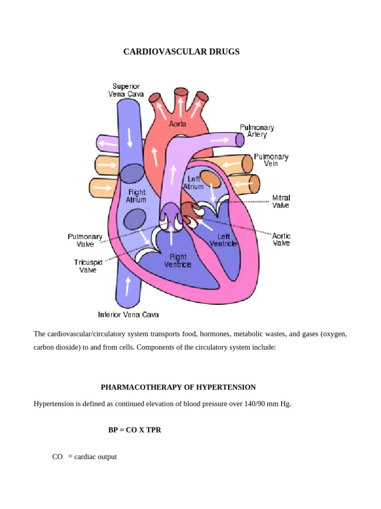 Cardiovascular Drugs for Hypertension Management | PDF | Hypertension ...