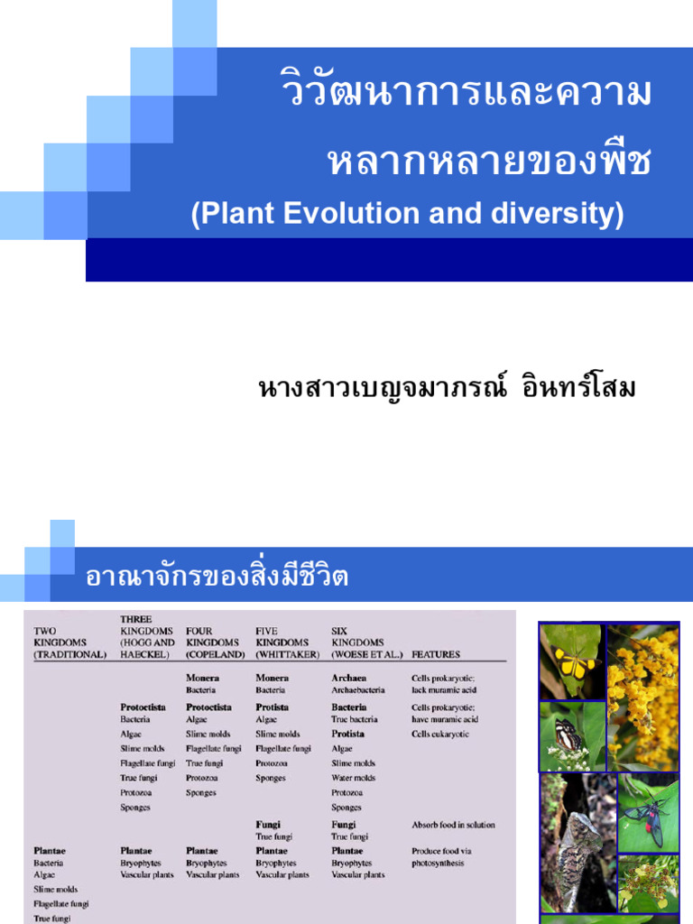 Plant Evolution and Diversity | PDF