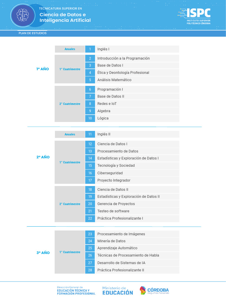 Plan de Estudios - Ciencia de Datos e Inteligencia Artificial 2024 | PDF | Informática