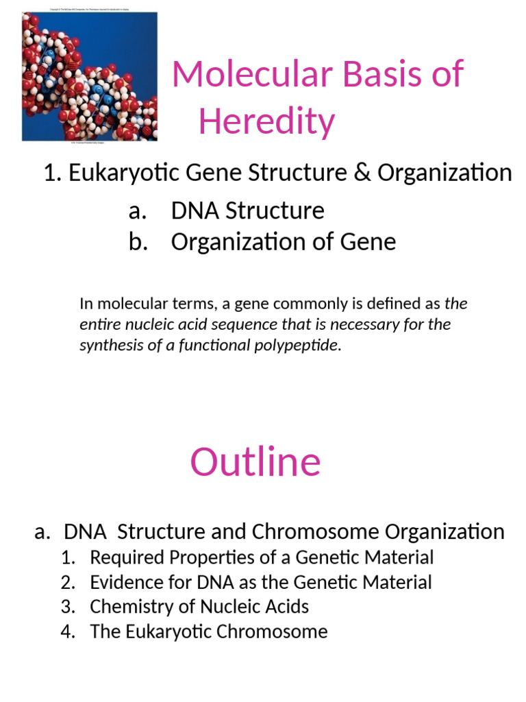 Bio020 Lec 6a | PDF | Dna | Translation (Biology)
