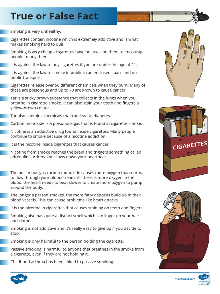 Facts Sheet - Smoking | PDF | Cigarette | Smoking