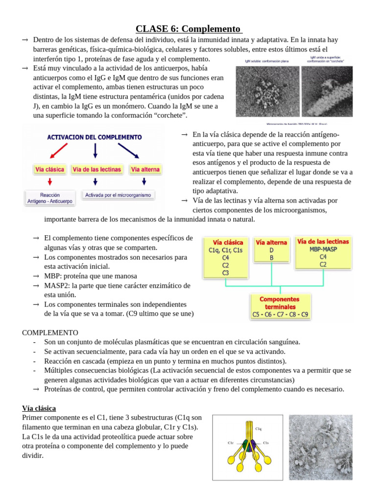 INMU150 - Clase 07 - Complemento - TIPEO | PDF | Sistema complementario | Inmunología