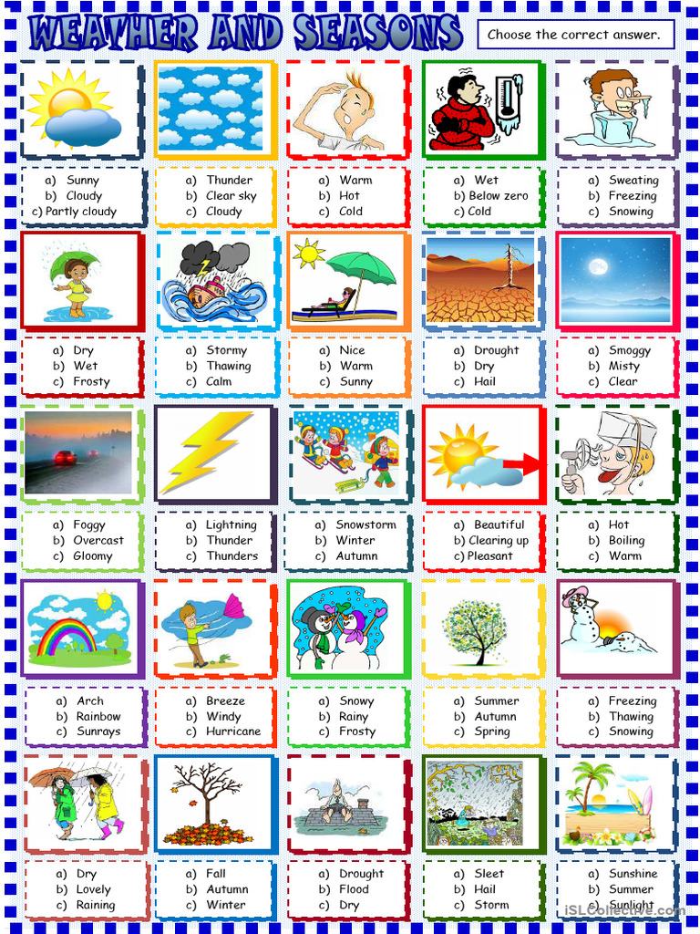Weather and Seasons Multiple Choice Activity | PDF