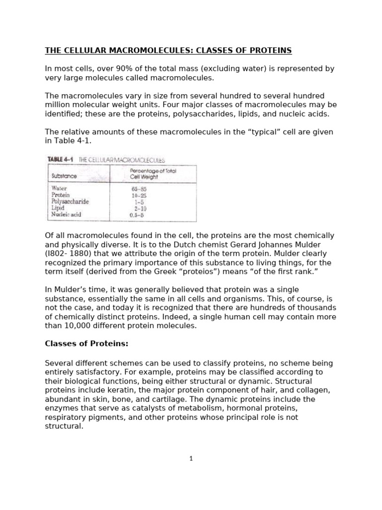The Cellular Macromolecules Classes | PDF | Proteins | Macromolecules