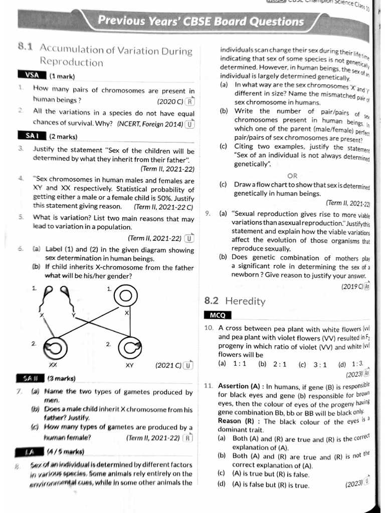 Heredity Practice Questions | PDF