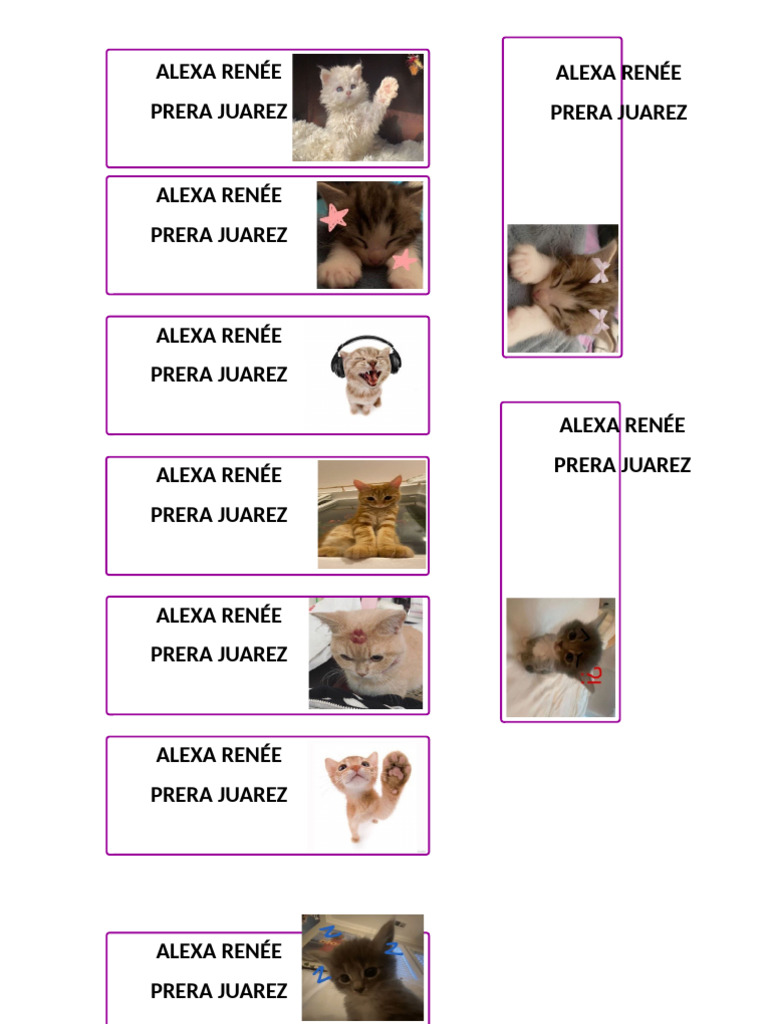 Sticker Alexa | PDF