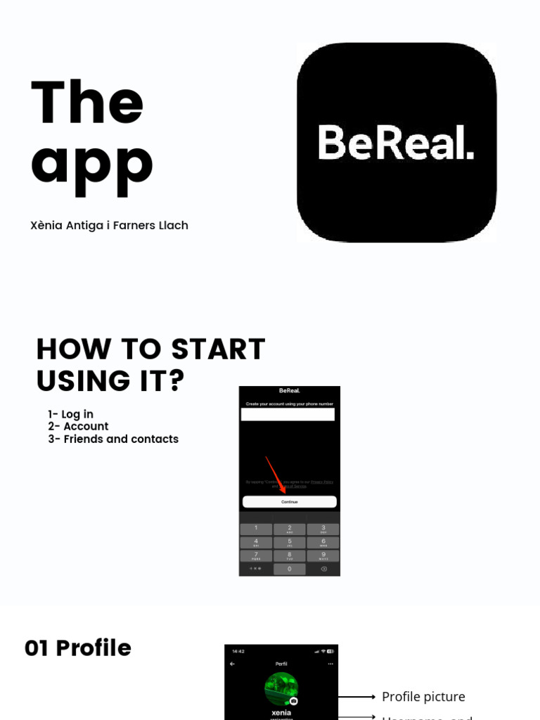 How to Use BeReal: A Step-by-Step Guide | PDF