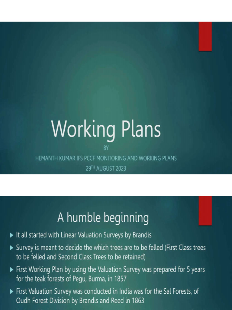 Working Plan | PDF