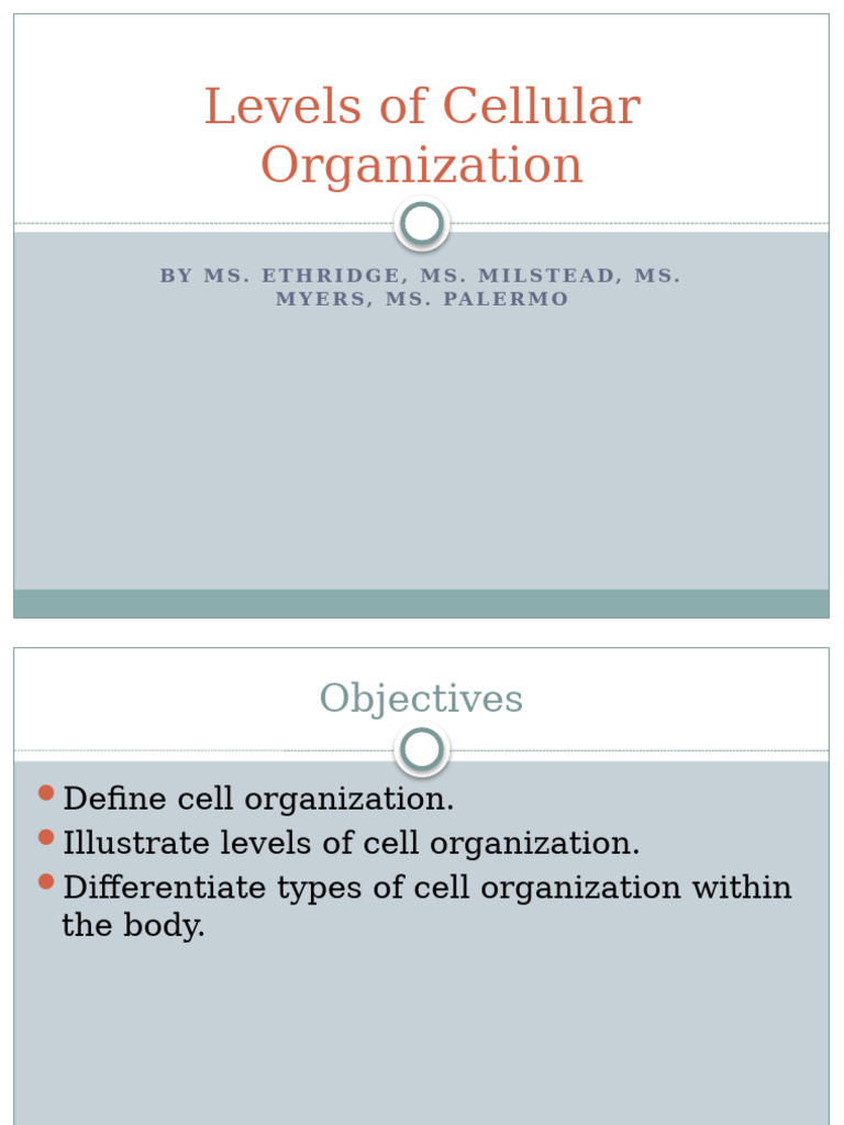 Levels of Cellular Organization Explained | PDF | Tissue (Biology ...