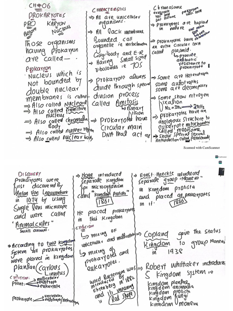 Bio. CH6 PDF Ur | PDF