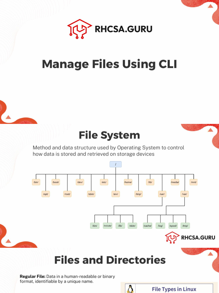 02 Manage Files Using CLI | PDF