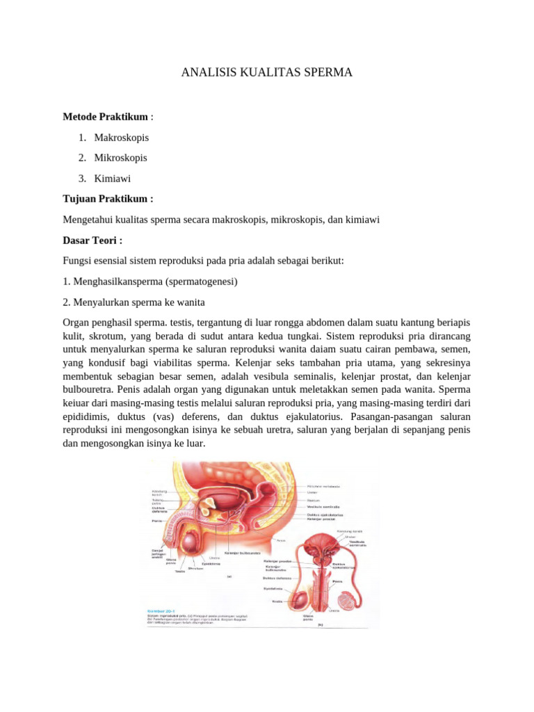 Analisis Kualitas Sperma | PDF