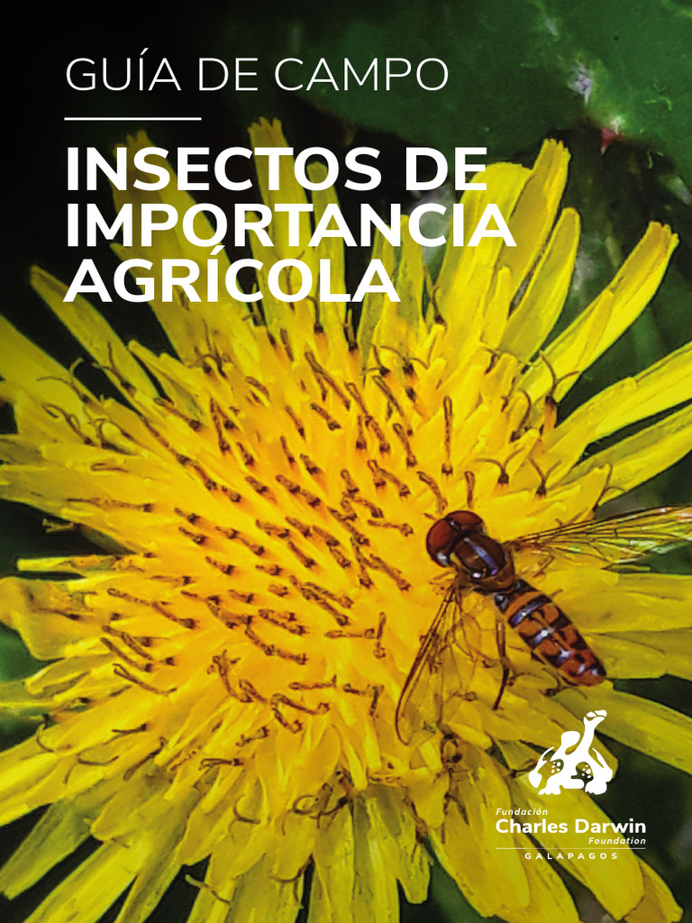 FCD Guia Campo Insectos Importancia Agricola Es | PDF | Insectos | Mosca