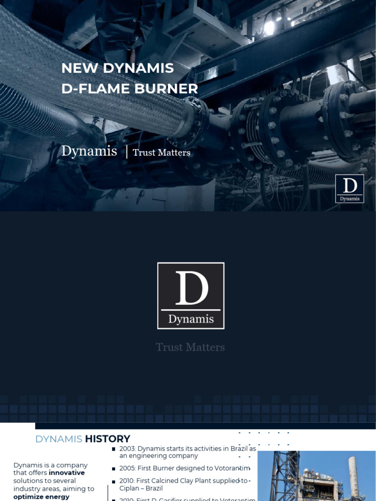1627494371dynamis D-Flame | PDF | Combustion | Computational Fluid Dynamics