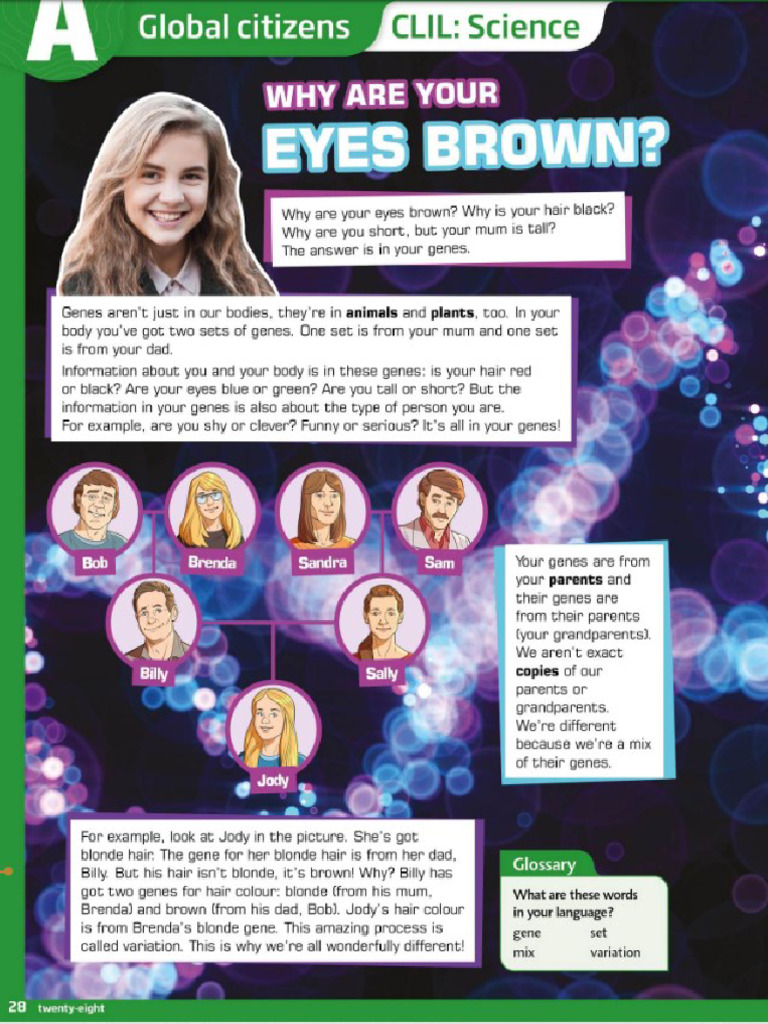 CLIL Unit 1 - 084358 | PDF