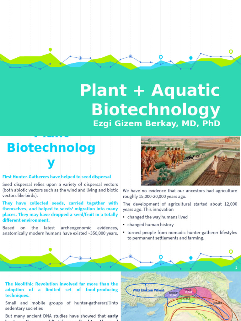 Evolution of Plant Biotechnology | PDF | Agriculture | Virus