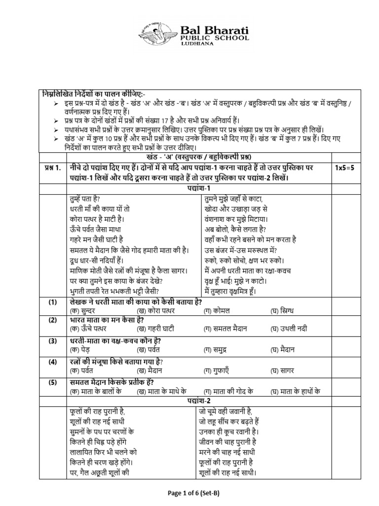X Hindi QP Set-B | PDF