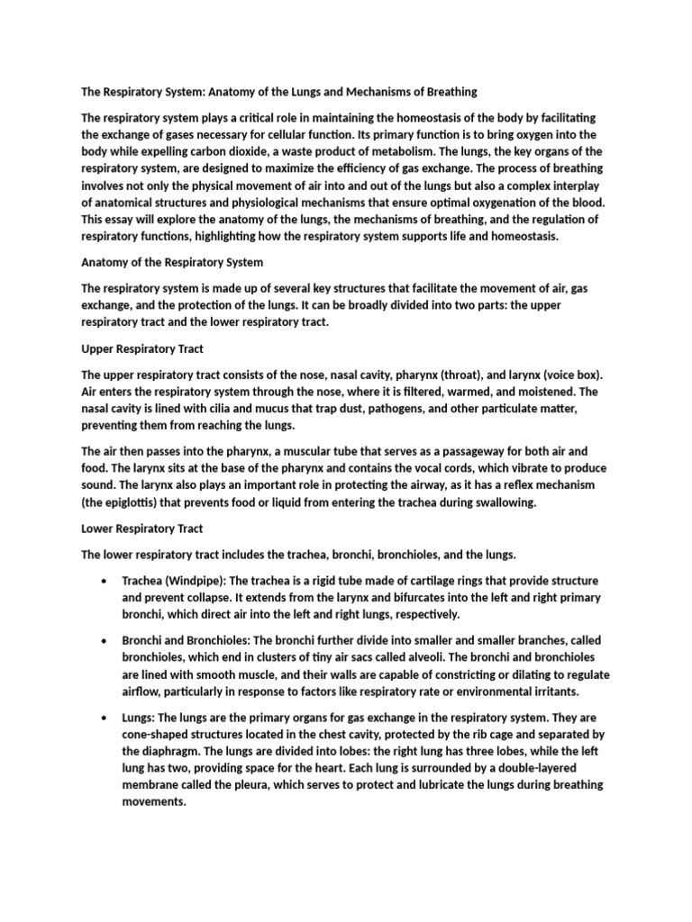 The Respiratory System Anatomy of The Lungs and Mechanisms of Breathing ...