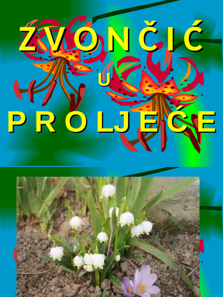 Zvoncic U Proljece - Pptvisnja | PDF