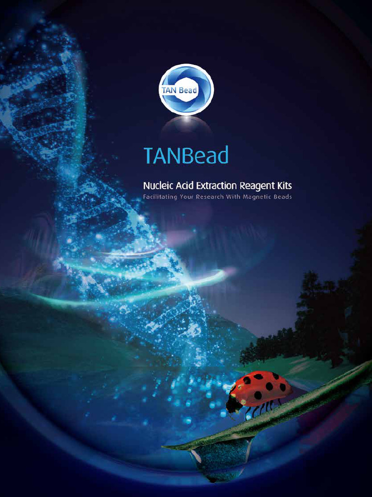 Tanbead - 17843 1 1 | PDF