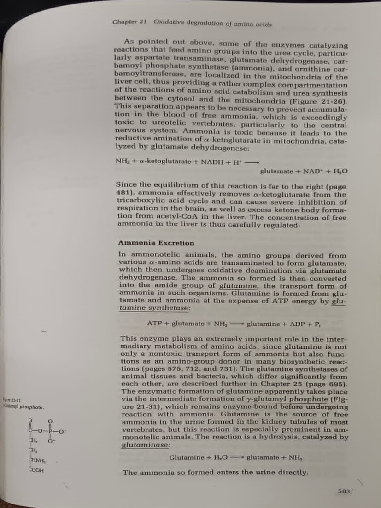 PY 2 | PDF | Biosynthesis | Nucleotides