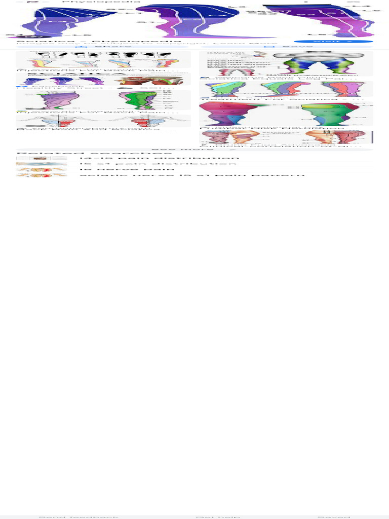 l5-s1 Pain Pattern - Google Search | PDF