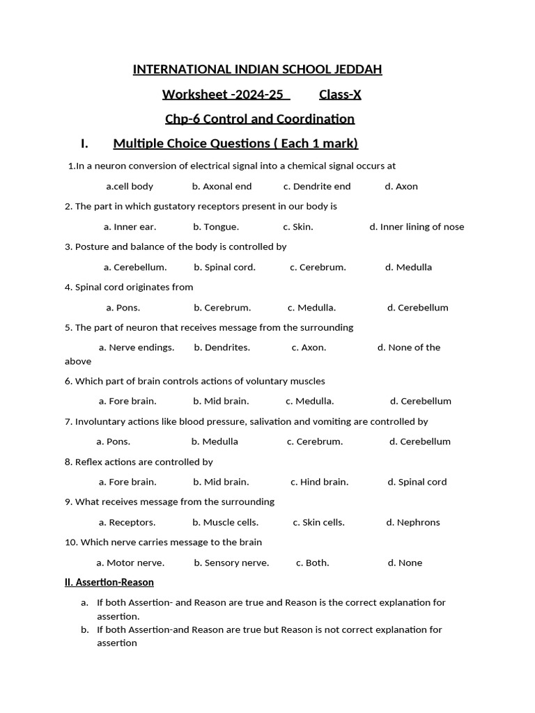Class-X Worksheet Chp-6 Control and Coordination 2024-25 | PDF | Brain ...