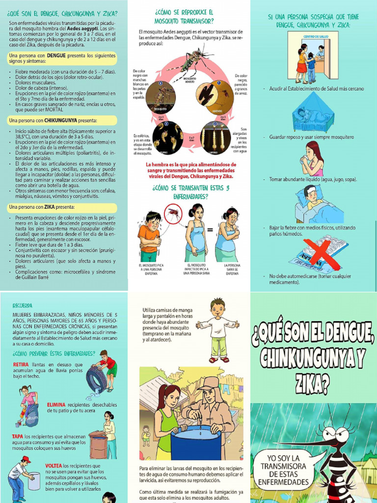 Dengue Triptico | PDF