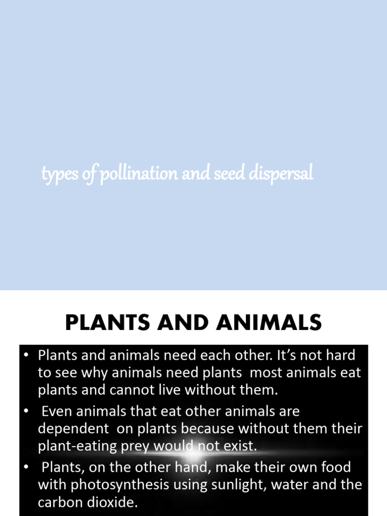 5 Pollination Types and Seed Dispersal-1 | PDF | Pollination | Petal