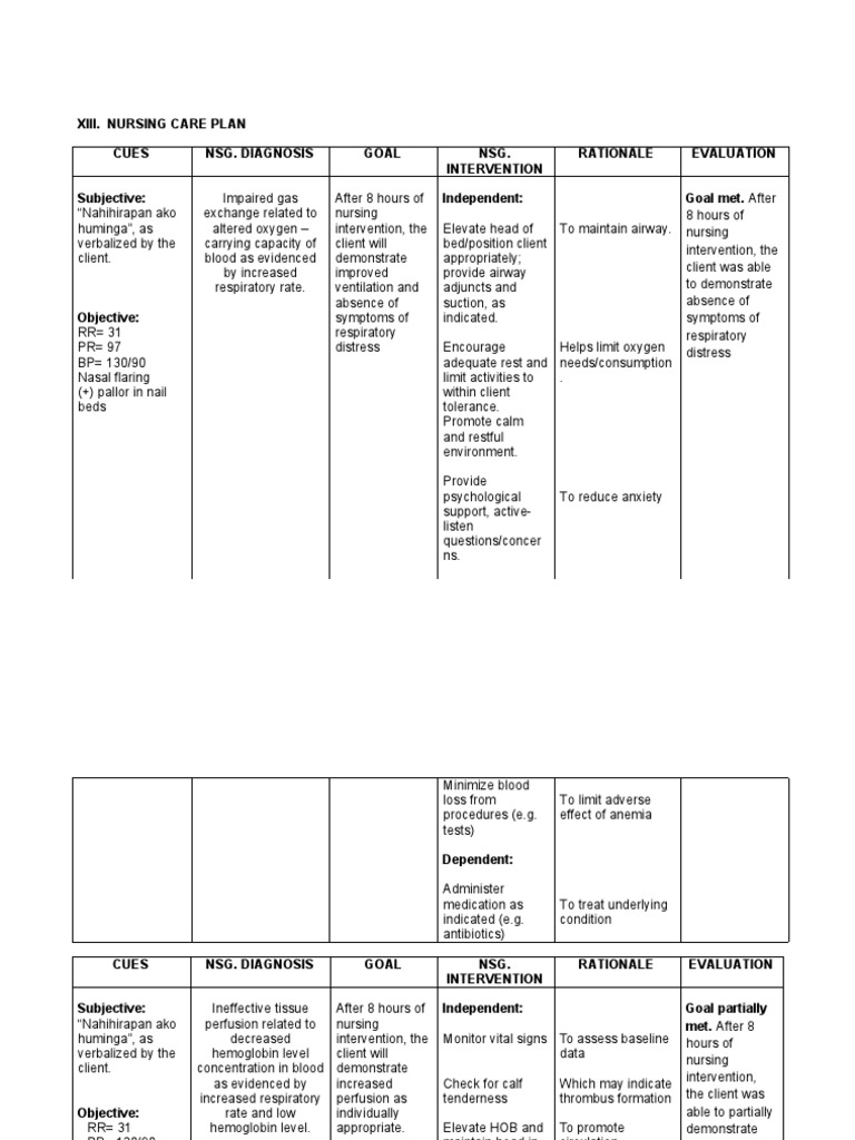 Nursing Care Plan for Respiratory Issues | PDF | Respiratory System ...