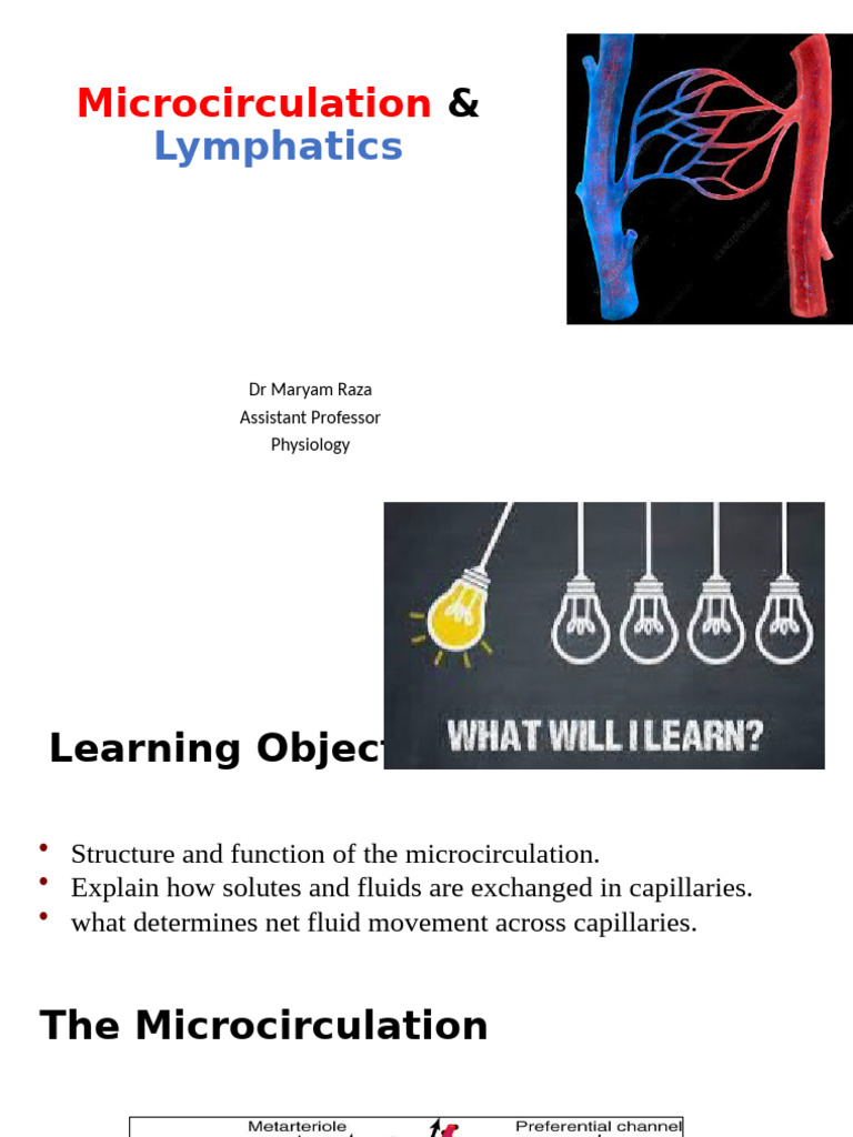 Micro Circulation | PDF | Capillary | Cell Membrane