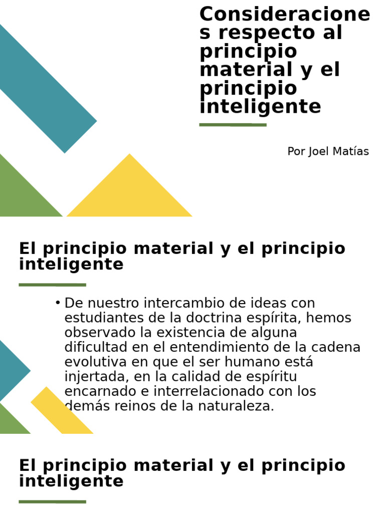 Consideraciones Respecto Al Principio Material y El Principio ...