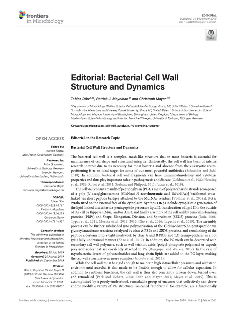 Bacterial Cell Wall Structure and Dynamics | PDF