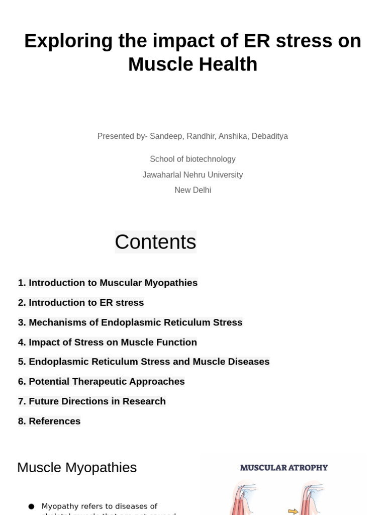 Exploring The Impact of ER Stress On Muscle Health | PDF | Endoplasmic ...