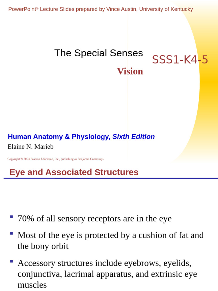 SSS1 K4 5 Penglihatan 3 | PDF | Retina | Visual System