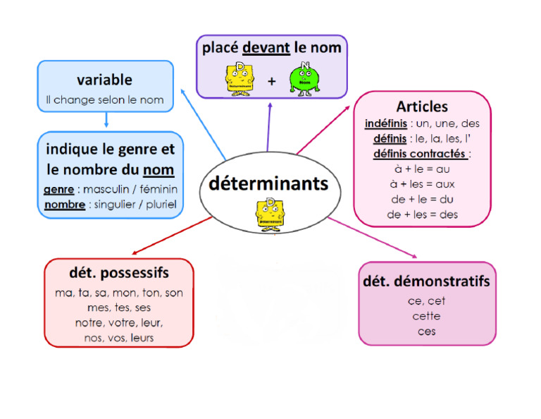 Carte Mentale Les Determinants | PDF