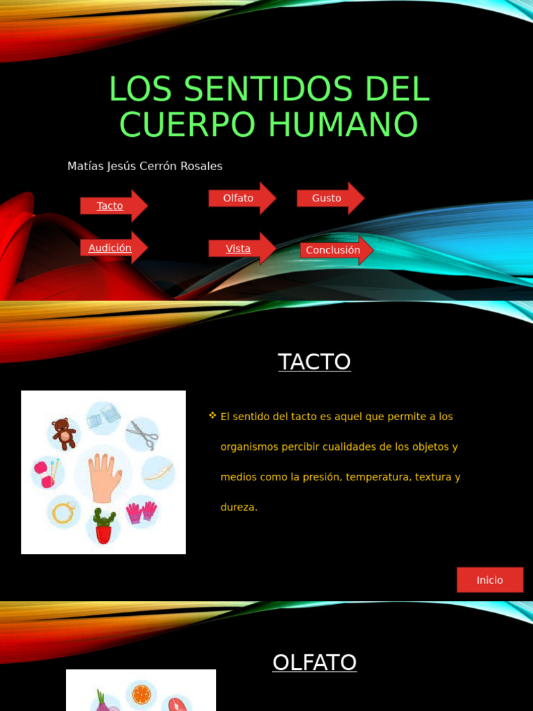 Los cinco sentidos del cuerpo humano | PDF | Relaciones personales ...