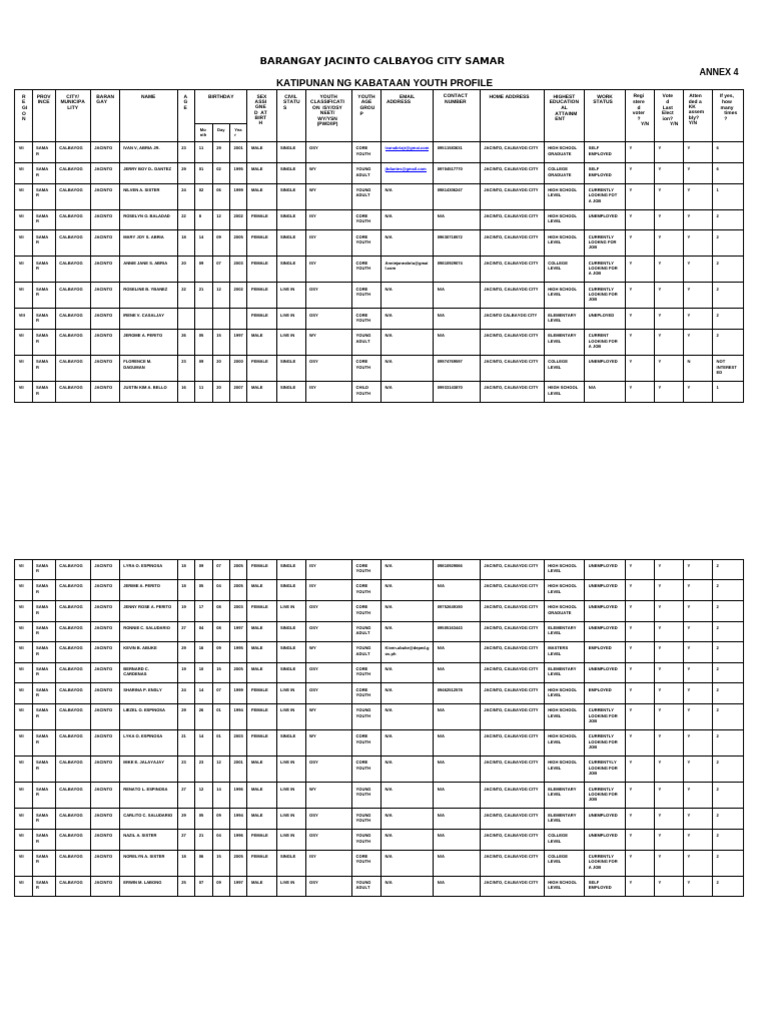 Annex 4 KK Youth Profile | PDF
