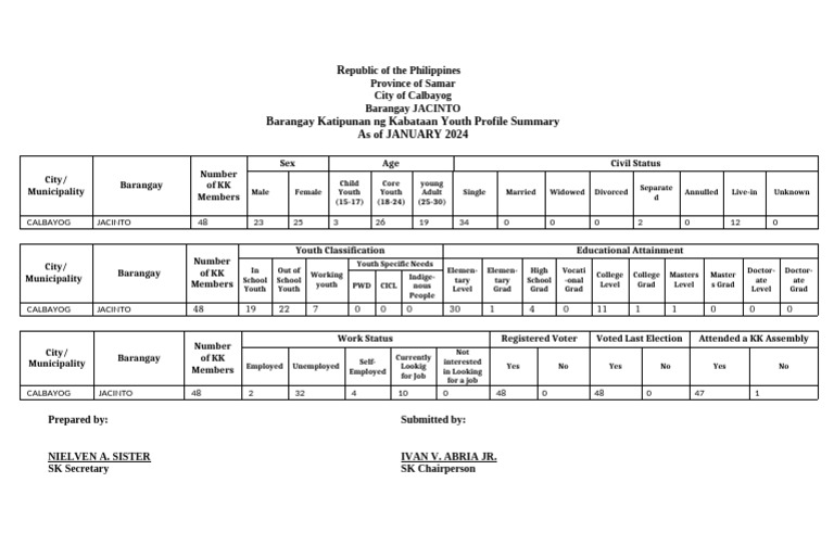 Annex 5 Barangay Katipunan NG Kabataan Youth Profile Summary Template ...
