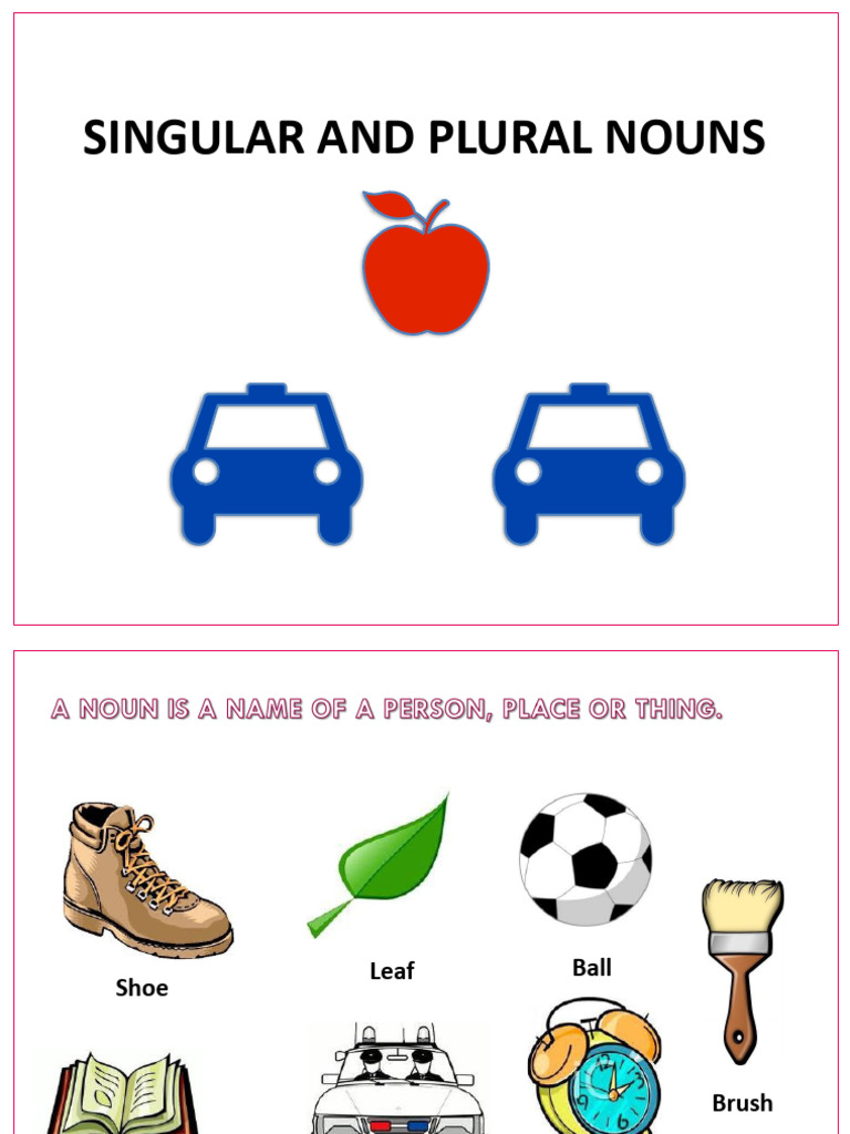Singular Plural | PDF