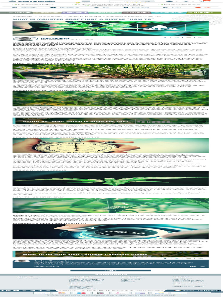 What Is Monster Cropping - A Simple Guide - How T | PDF | Root | Pruning