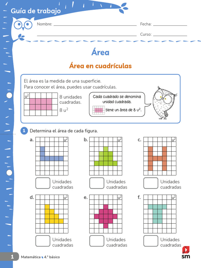Área y Cuadrículas en Matemáticas Básicas | PDF